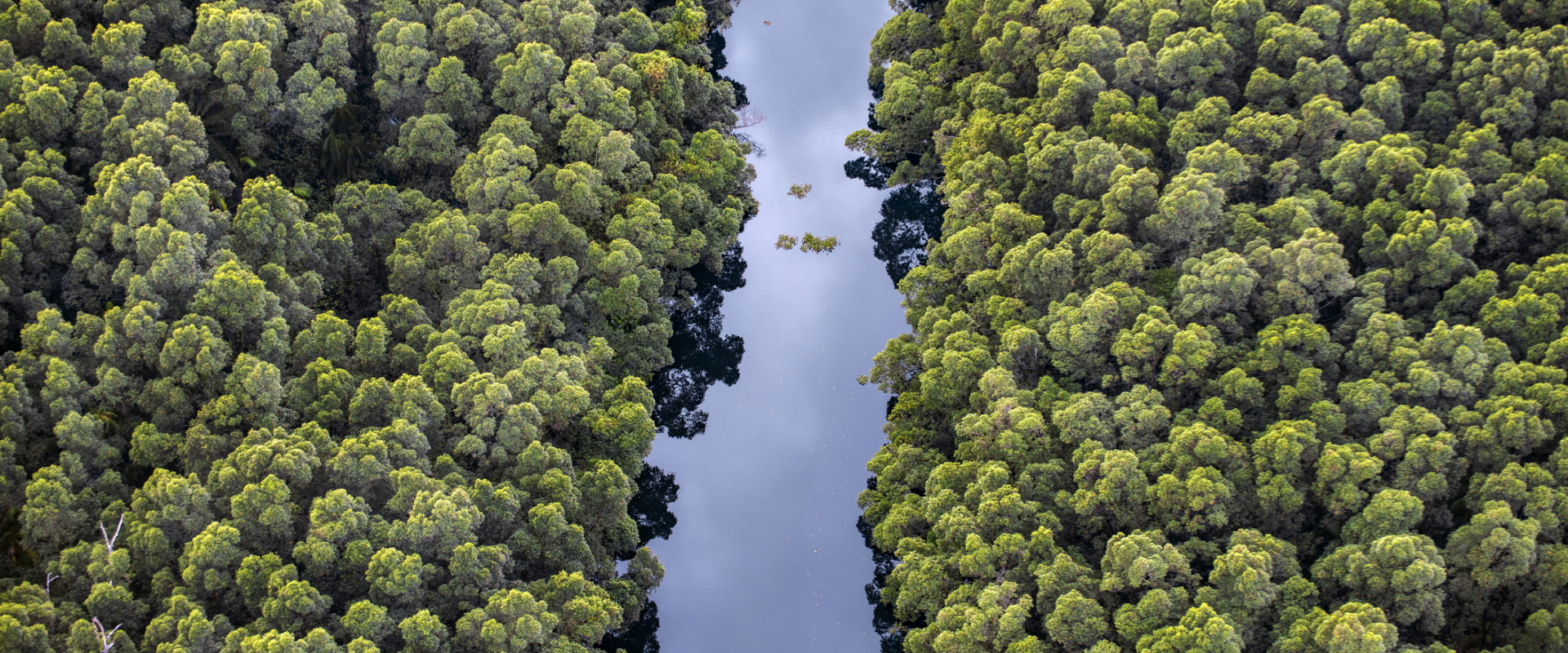 SONAE | Improving Life - Sonae